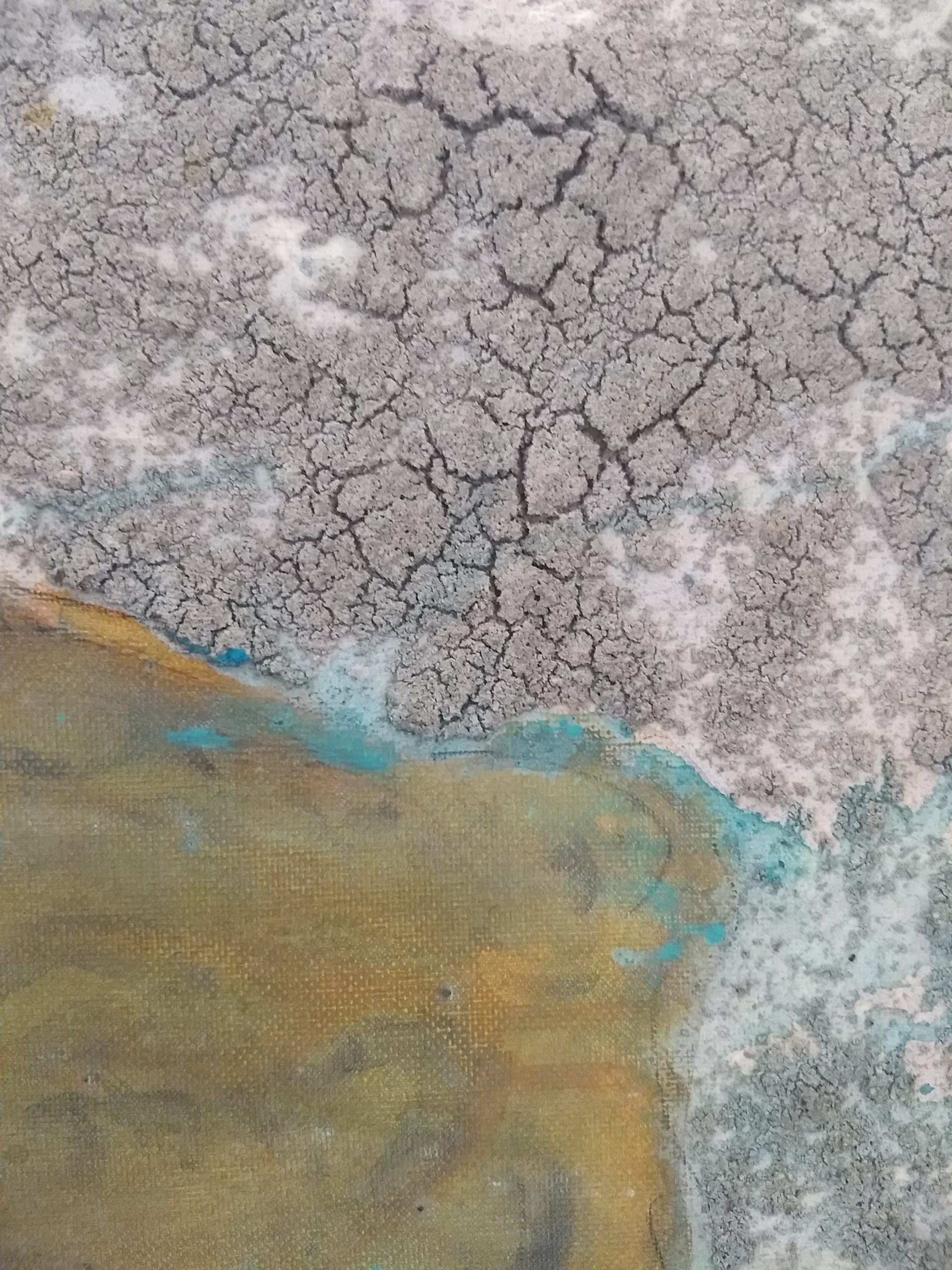 Gallery – AUSTRALIAN AUSTRIAN FUSION